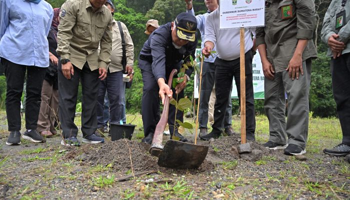 Penanaman Pohon Serentak Komitmen Nyata Jaga Keberlanjutan Alam - Khazminang.id